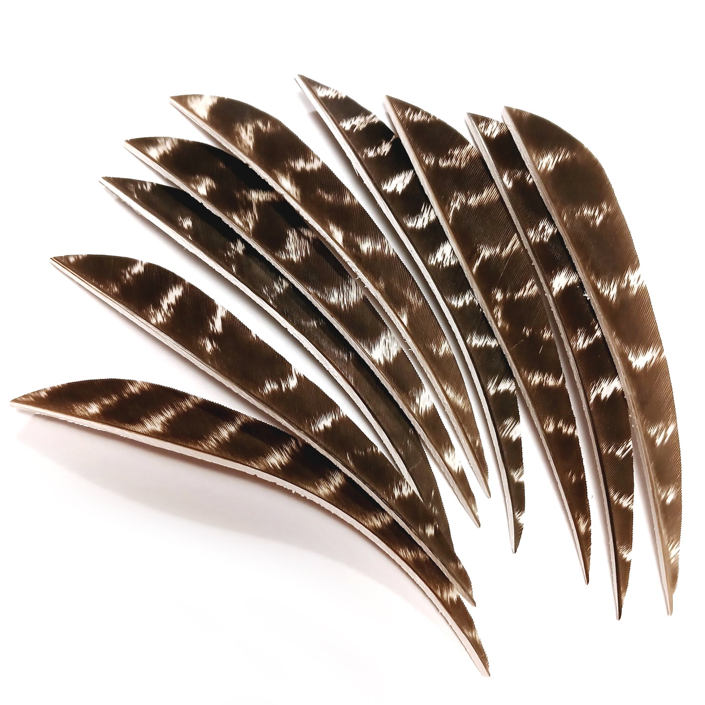 Natural Barred Turkey Feathers Parabolic Cut 5" – Lost Arts Archery ...