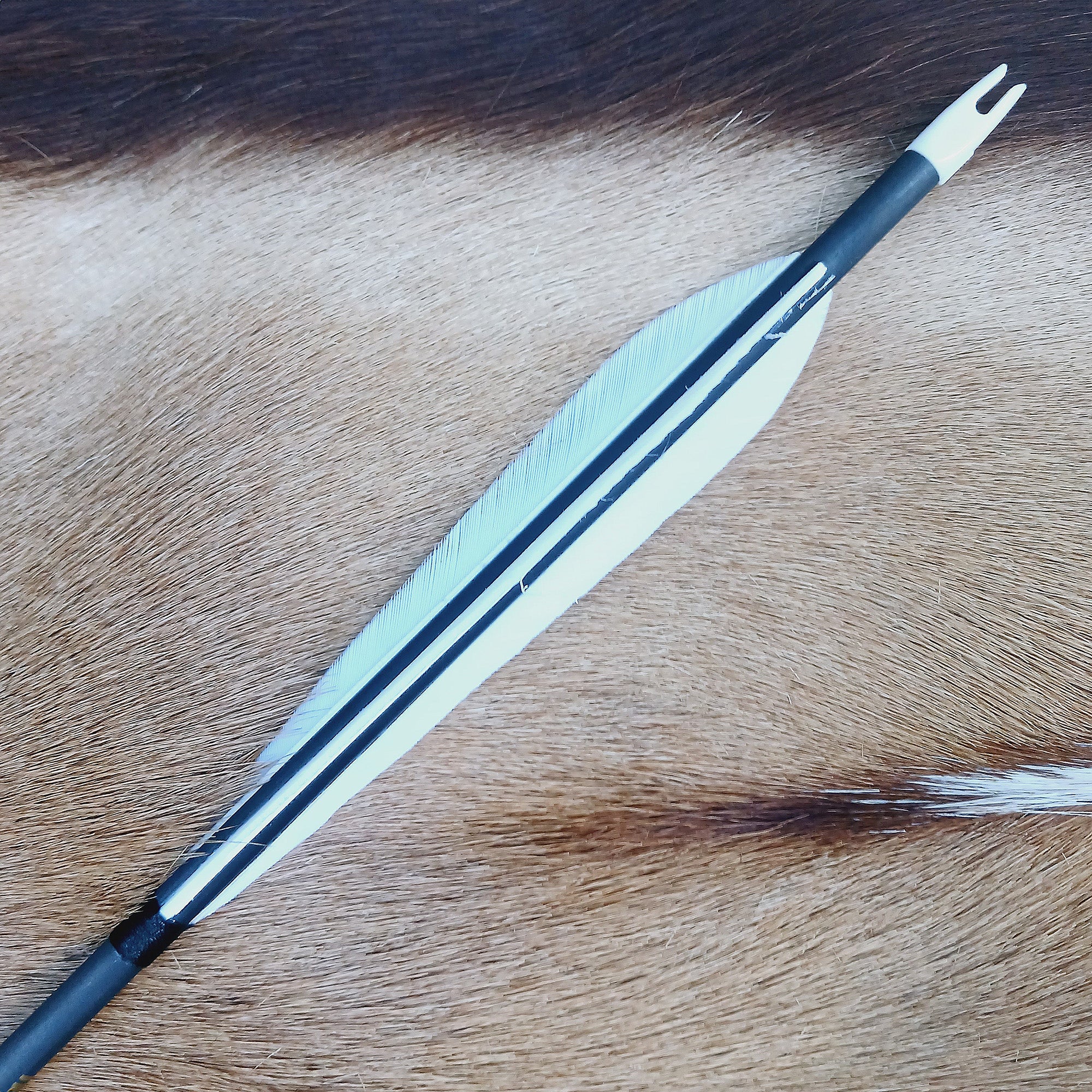 Ali Bow Carbon Arrows - with White Feathers – Lost Arts Archery South ...